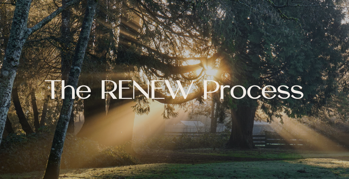 The RENEW Process